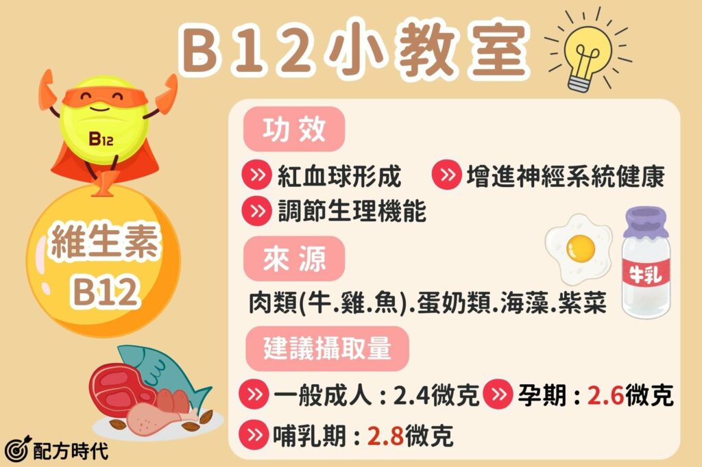 3大維生素B12功效介紹，食物有哪些？什麼時候吃最好？ - 配方時代